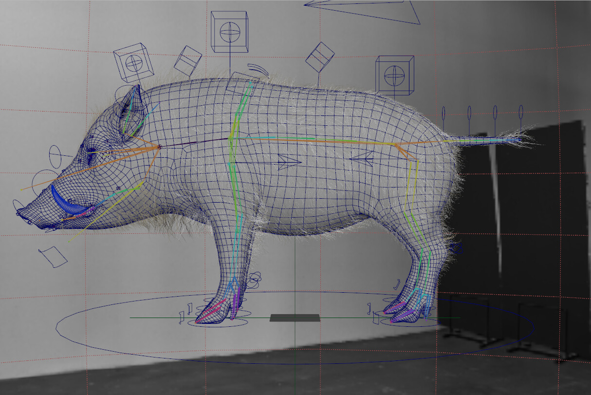 ArtStation - wild boar | Resources