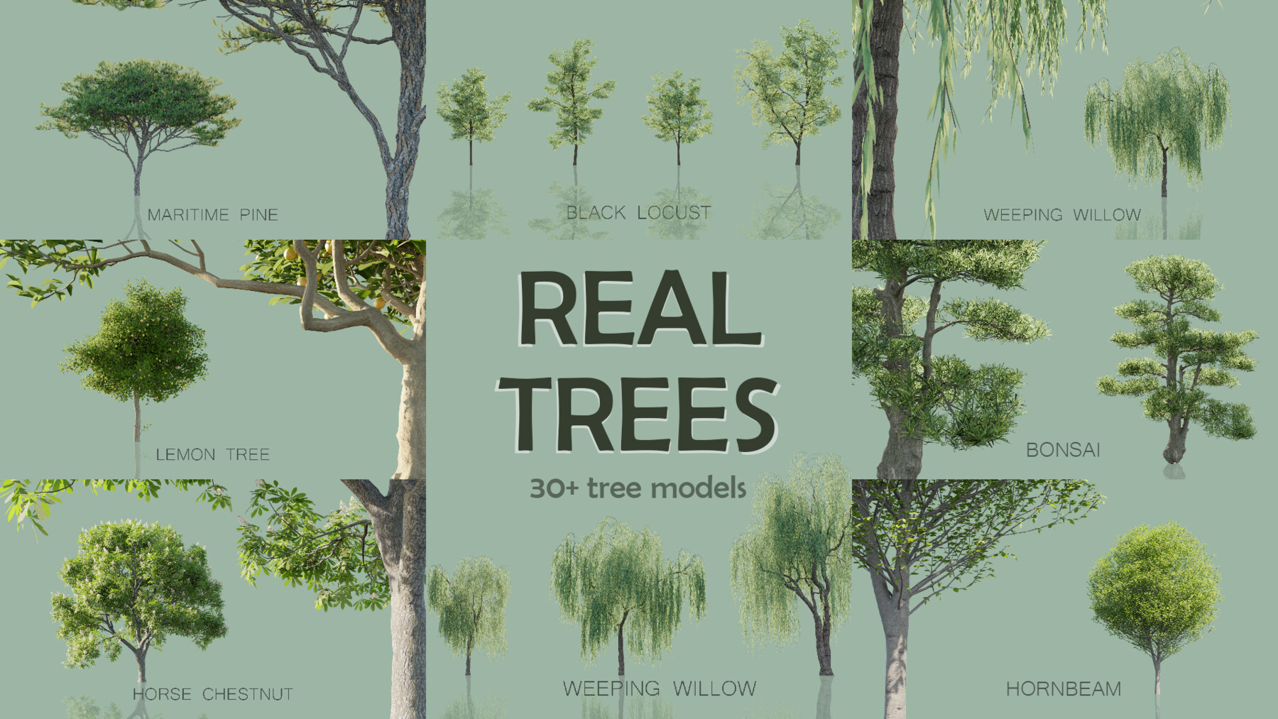 ArtStation - Real Trees Pack | Game Assets