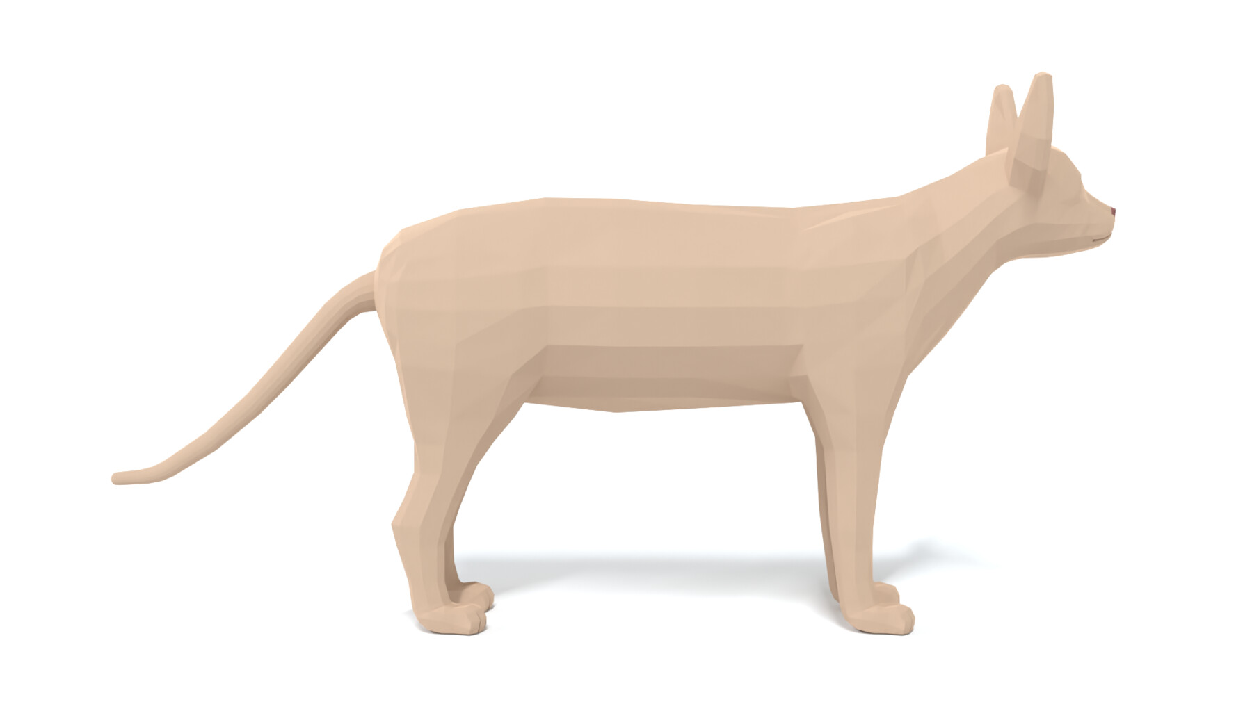 ArtStation - Low Poly Cartoon Sphynx Cat | Game Assets