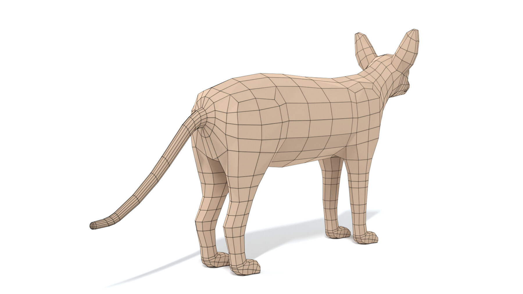 ArtStation - Low Poly Cartoon Sphynx Cat | Game Assets