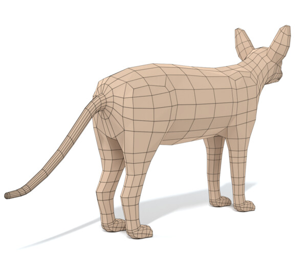 ArtStation - Low Poly Cartoon Sphynx Cat | Game Assets