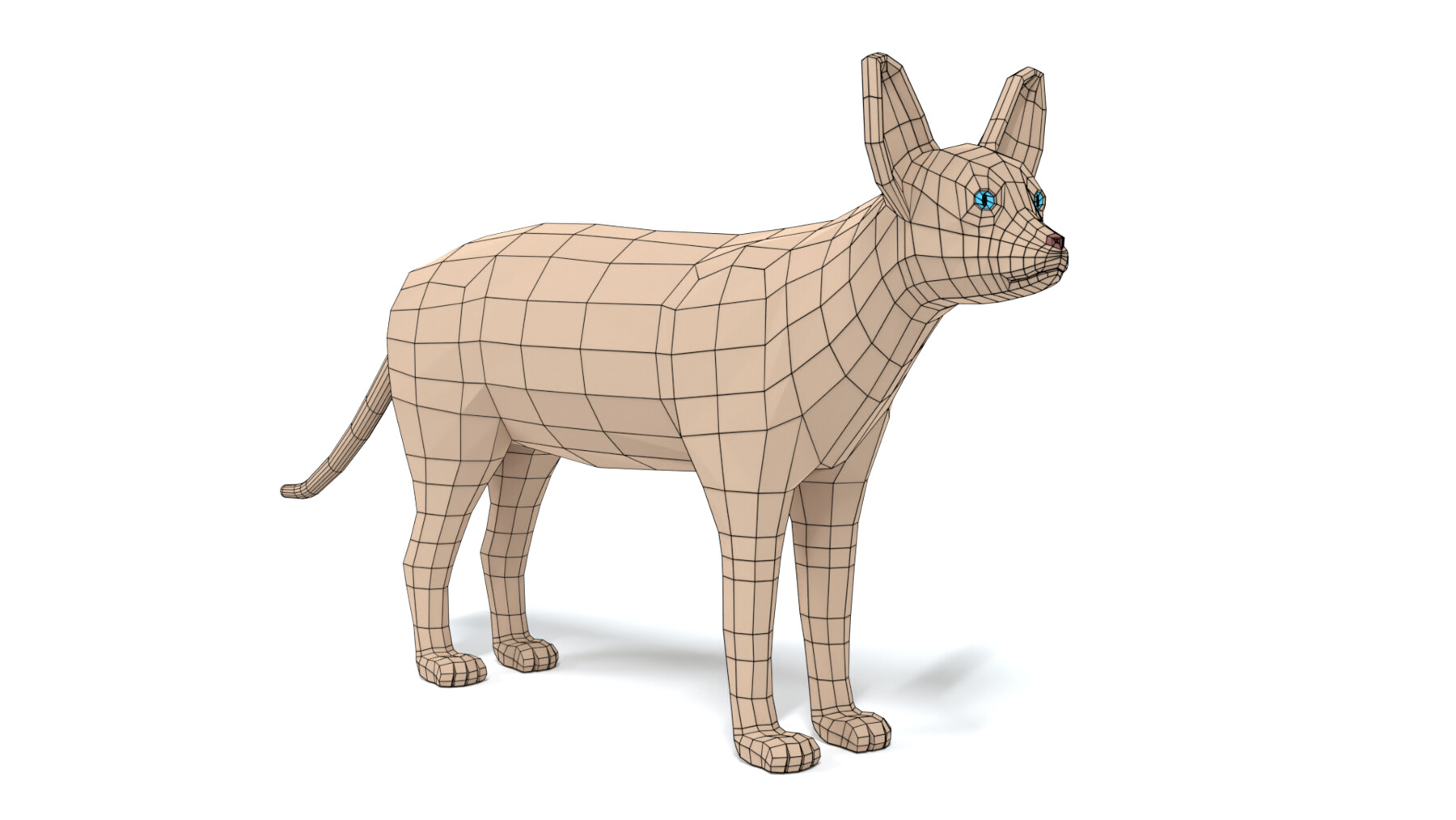 ArtStation - Low Poly Cartoon Sphynx Cat | Game Assets