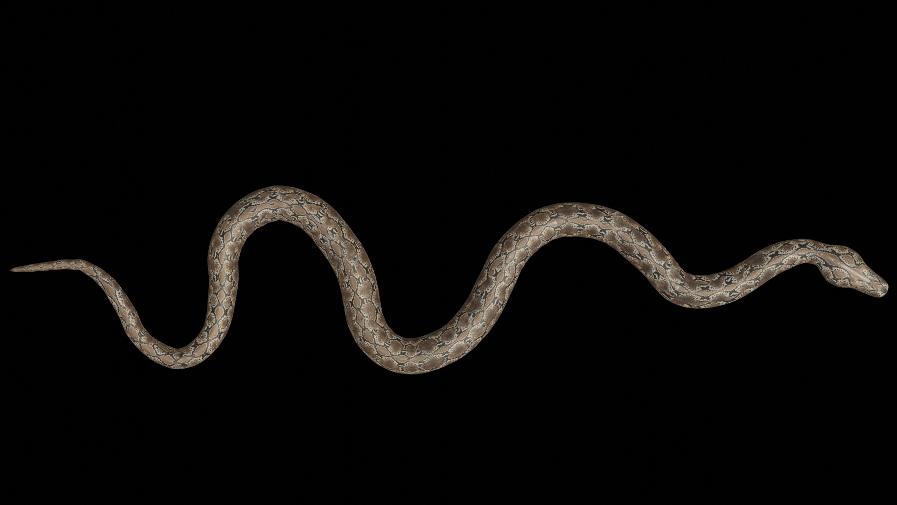 ArtStation - Rigged python 3D model | Resources