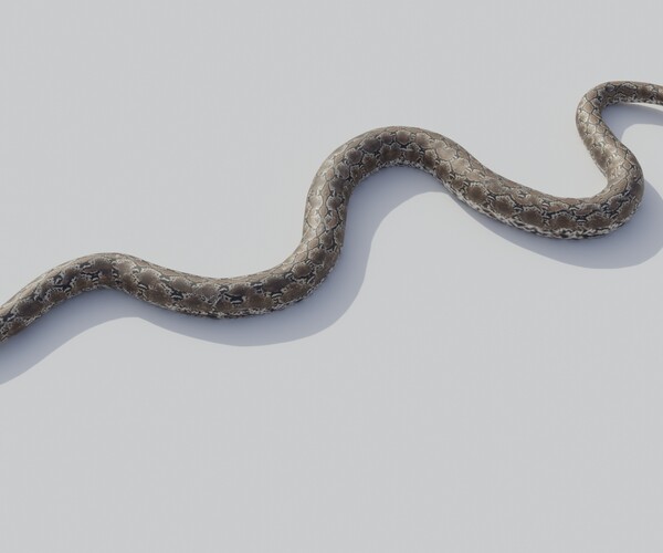 ArtStation - Rigged python 3D model | Resources