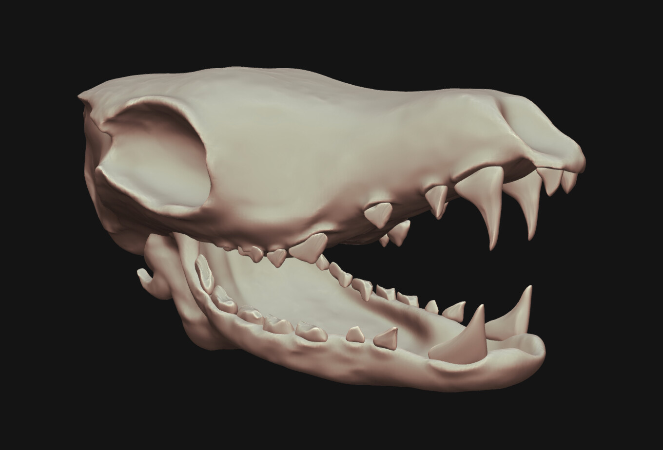 ArtStation - Animal Skull | Resources