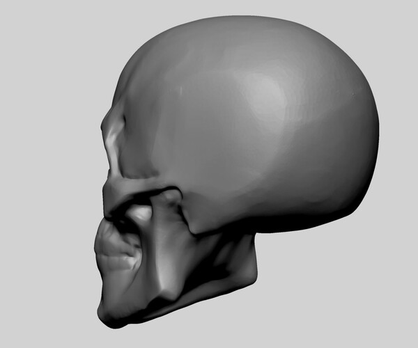 ArtStation - Skull 02 | Resources