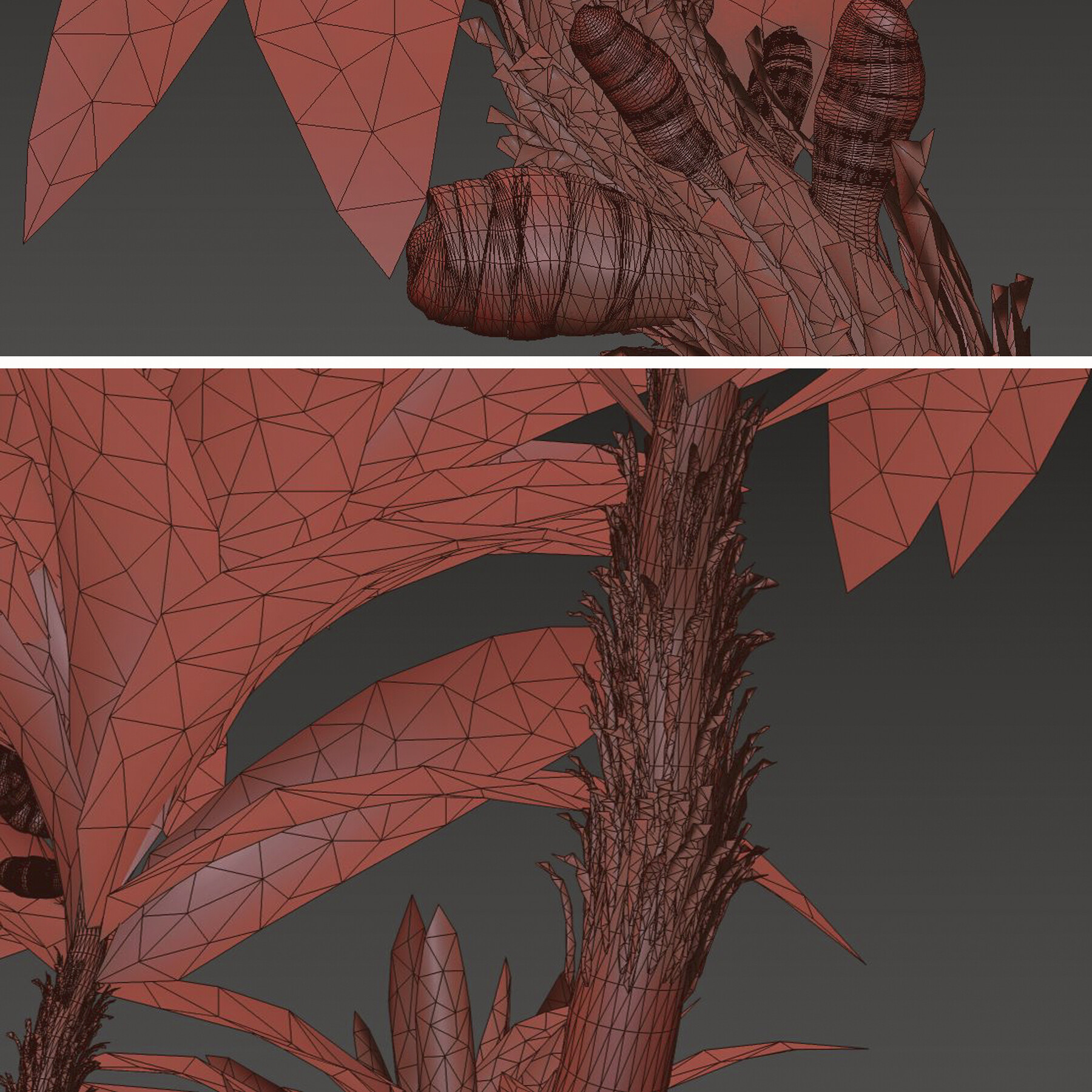 ArtStation - Set of Ficus pseudopalma Trees (Philippine fig) (2 Trees ...