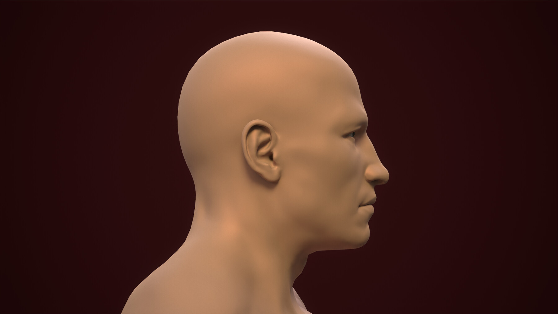 ArtStation - Bodybuilder Base Mesh | Resources