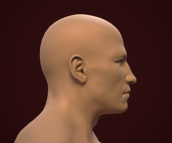 ArtStation - Bodybuilder Base Mesh | Resources