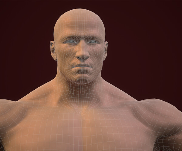 ArtStation - Bodybuilder Base Mesh | Resources