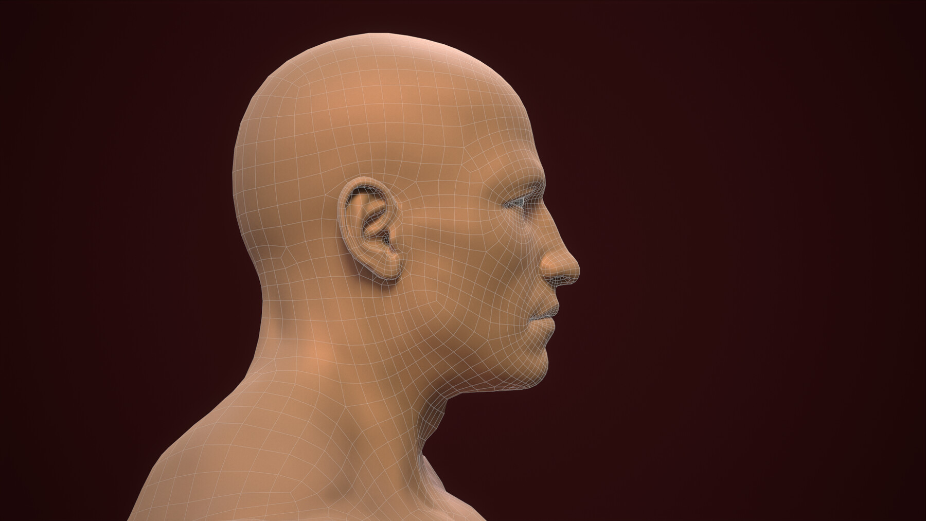 ArtStation - Bodybuilder Base Mesh | Resources