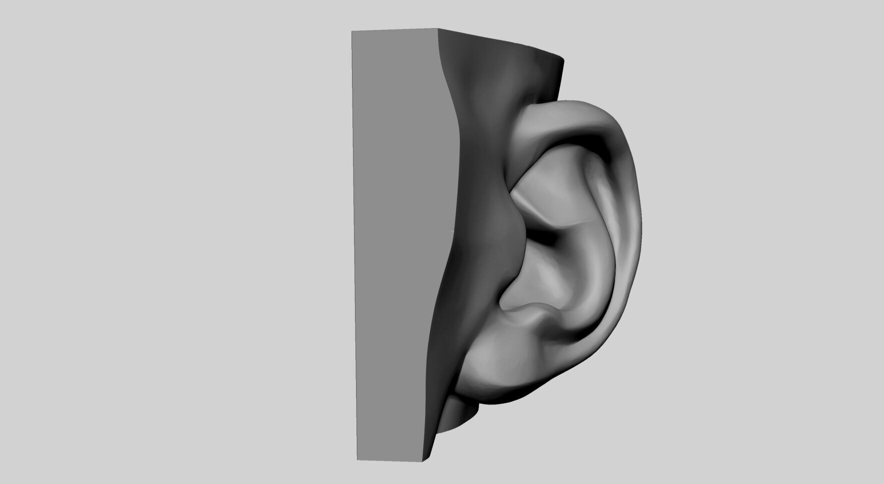 ArtStation - Ear Printable 02 | Resources