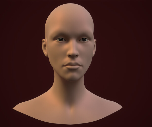 ArtStation - Female Head Free | Resources