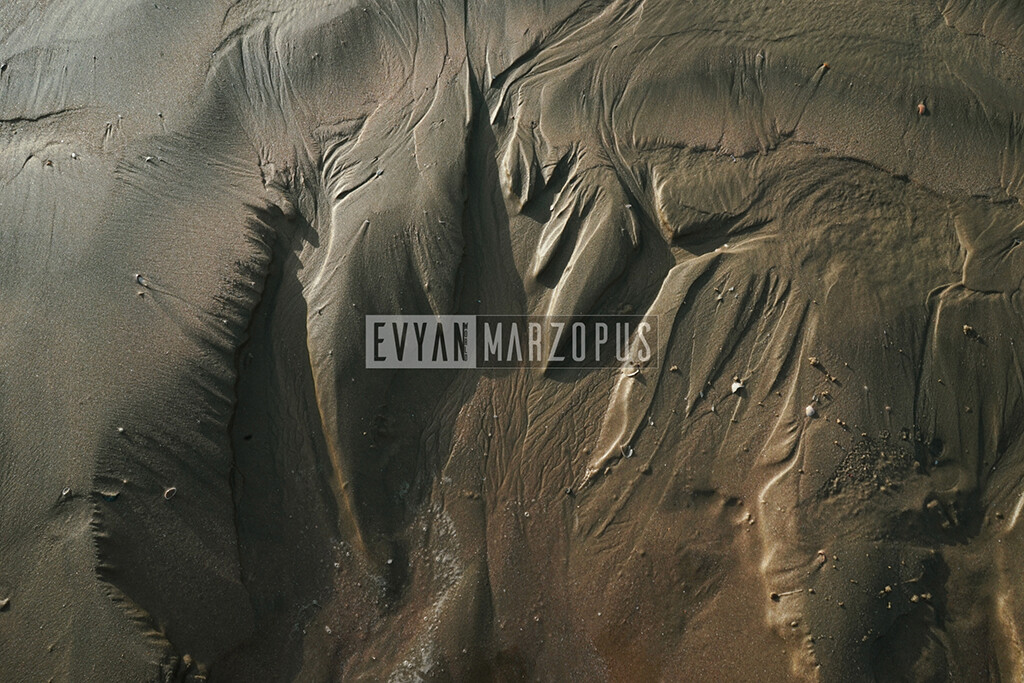 ArtStation - Alien Beach | Resources