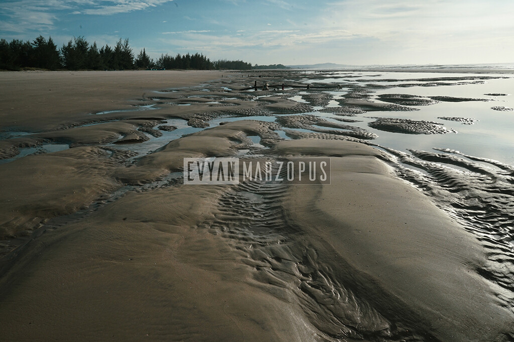 ArtStation - Alien Beach | Resources