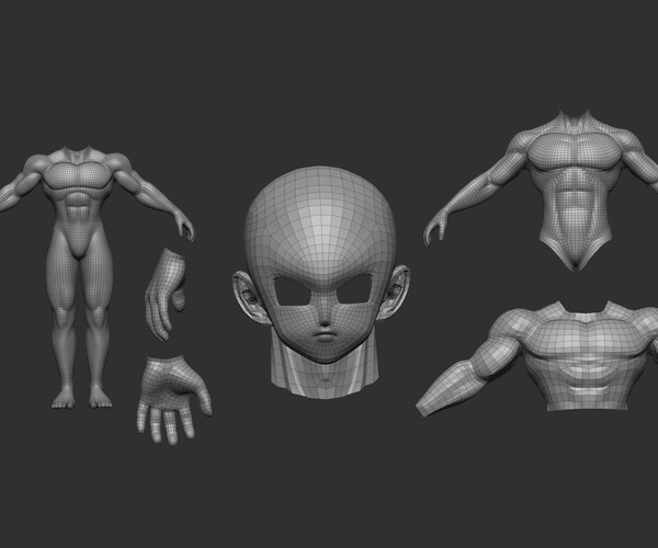 ArtStation - IMM DRAGON BALL MALE BODY | Brushes