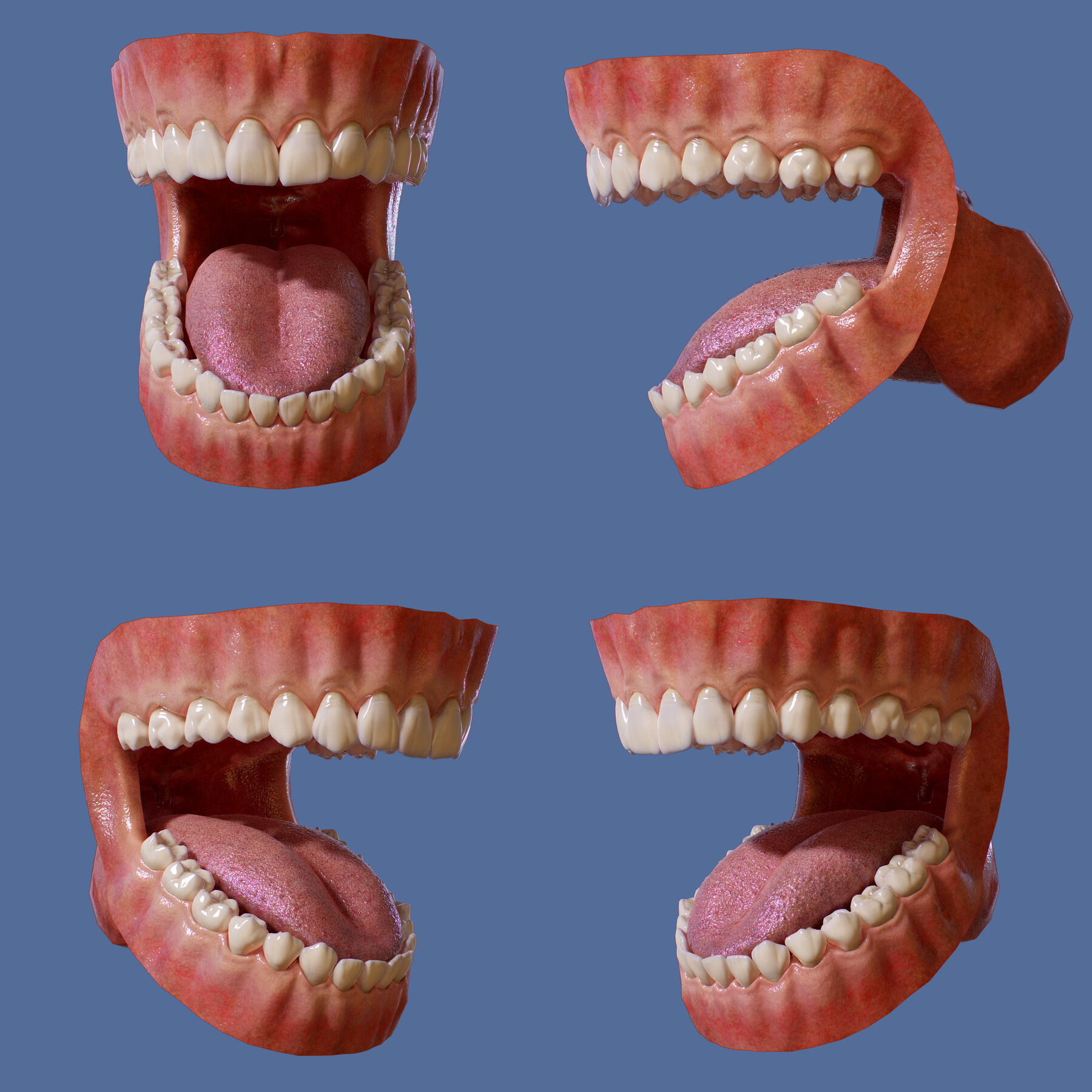 ArtStation - Teeth - Mouth Interior Real Time | Game Assets