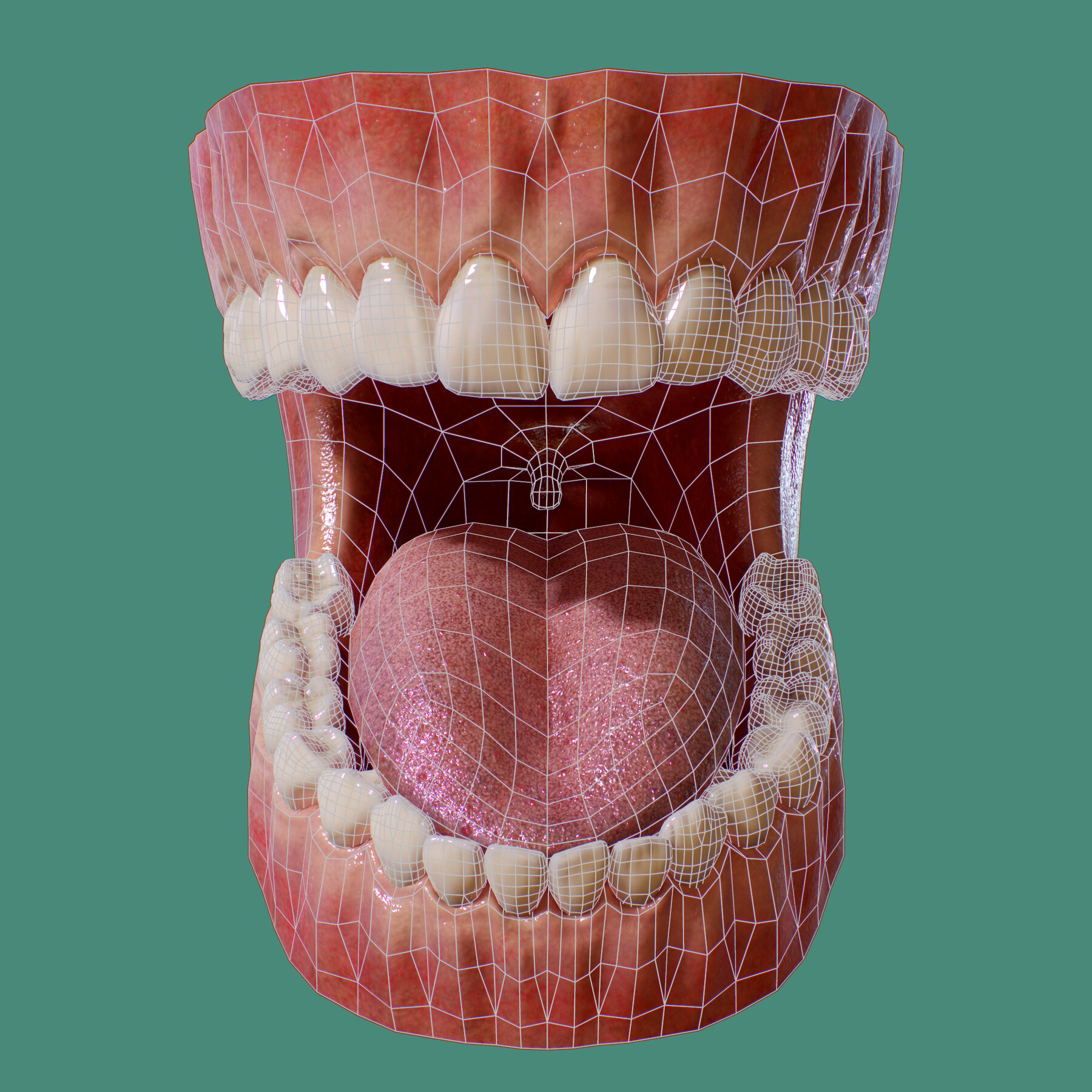 ArtStation - Teeth - Mouth Interior Real Time | Game Assets