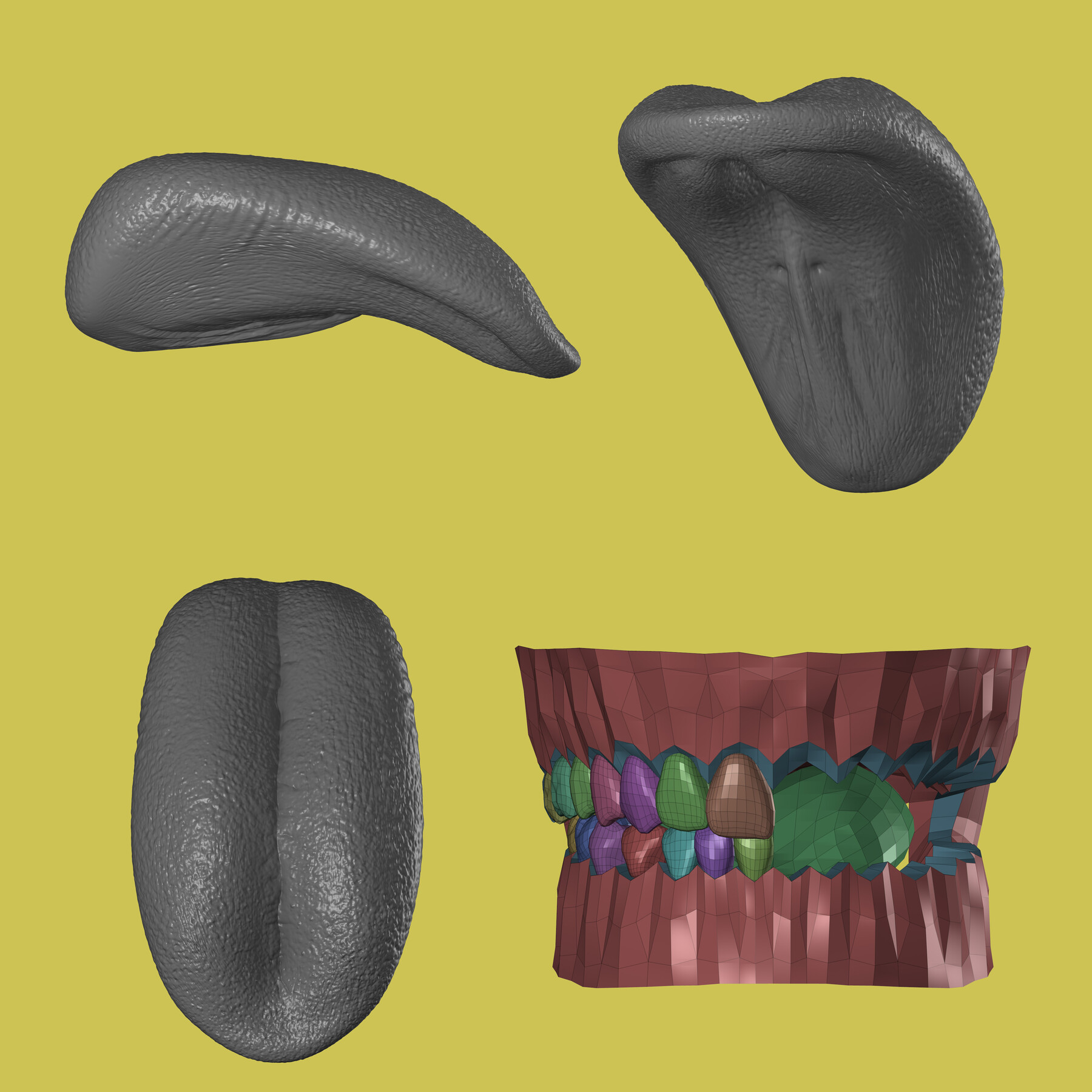 ArtStation - Teeth - Mouth Interior Real Time | Game Assets