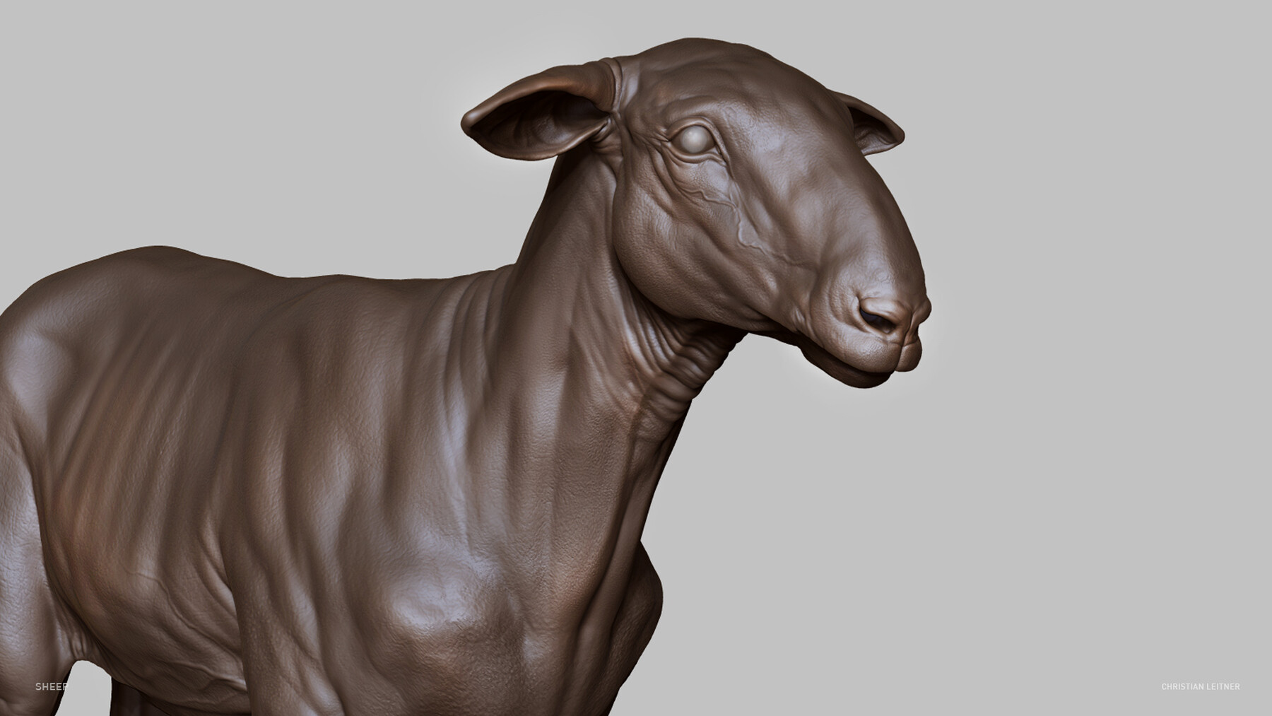 ArtStation - SHEEP - sculpt/retopology/uvs | Resources