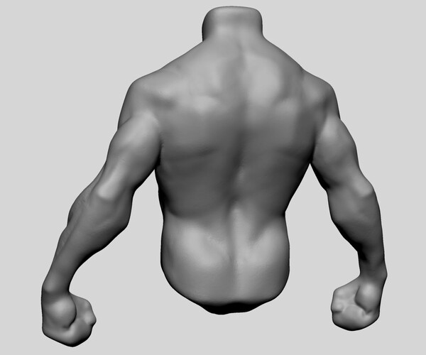 ArtStation - Male Torso 05 | Resources