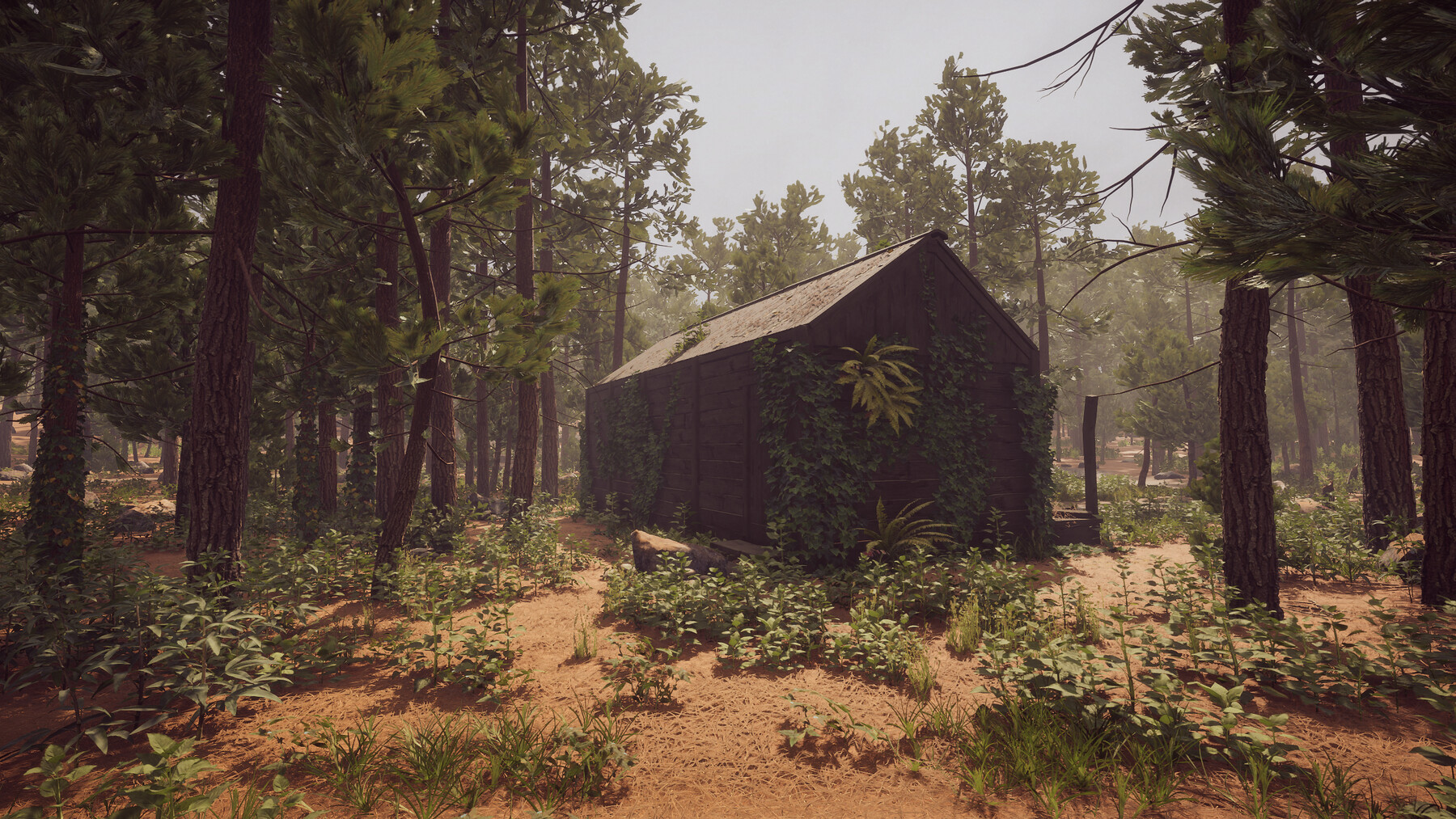 ArtStation - Dense Coniferous Forest (Unity Package) | Game Assets