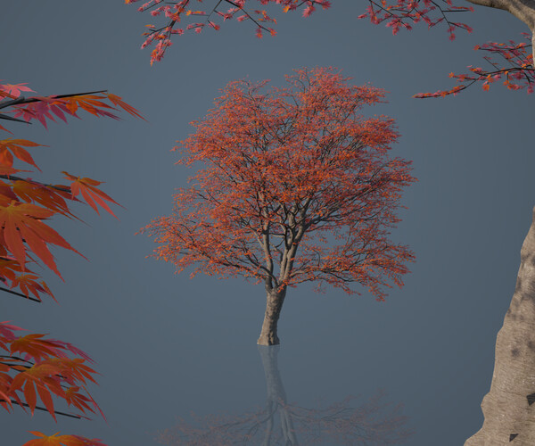 ArtStation - Red Maple Trees | Game Assets