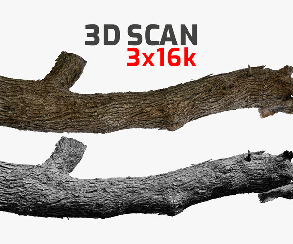 ArtStation - Tree Trunk #9 3D scan 3x16k \ 2x8k Textures OBJ FBX ...