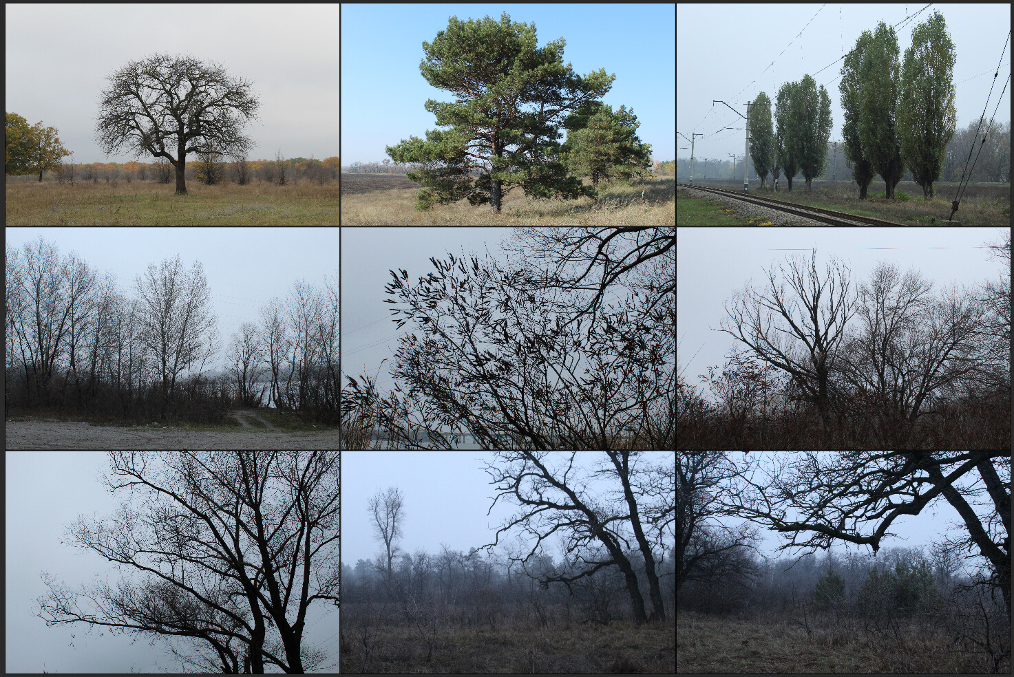 ArtStation - Trees Pack | Resources