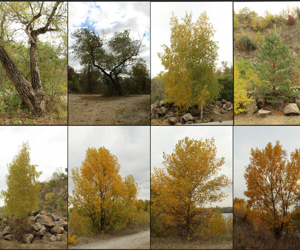 ArtStation - Trees Pack | Resources