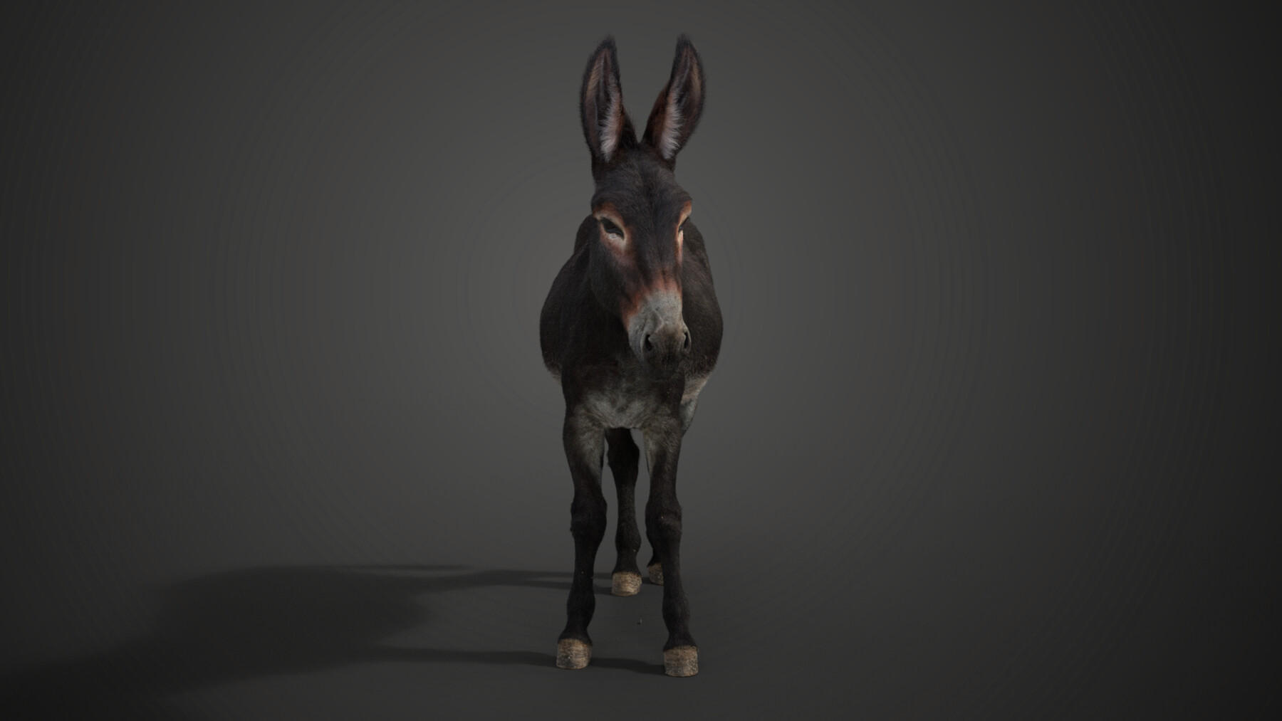 ArtStation - Donkey Summer Animated | VFX Grace | Game Assets