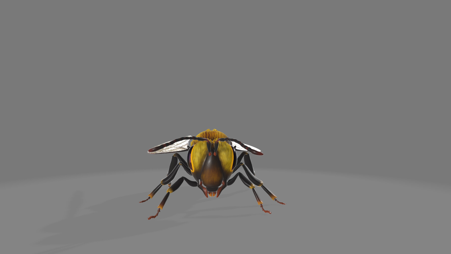 ArtStation - animated bee | Game Assets