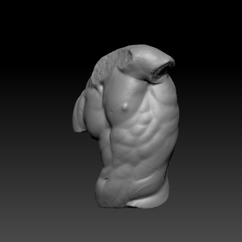 ArtStation - Gaddi Torso 3D (obj) | Resources