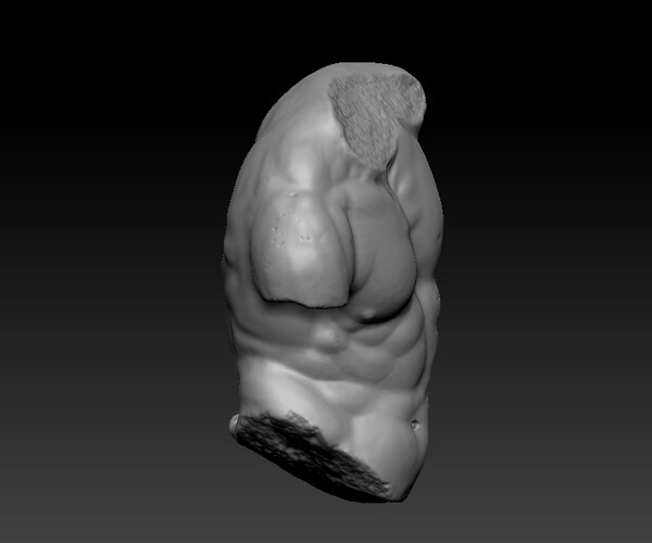 ArtStation - Gaddi Torso 3D (obj) | Resources