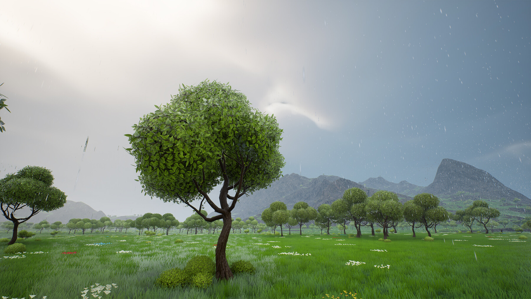 ArtStation - Stylized Trees Pack | Game Assets