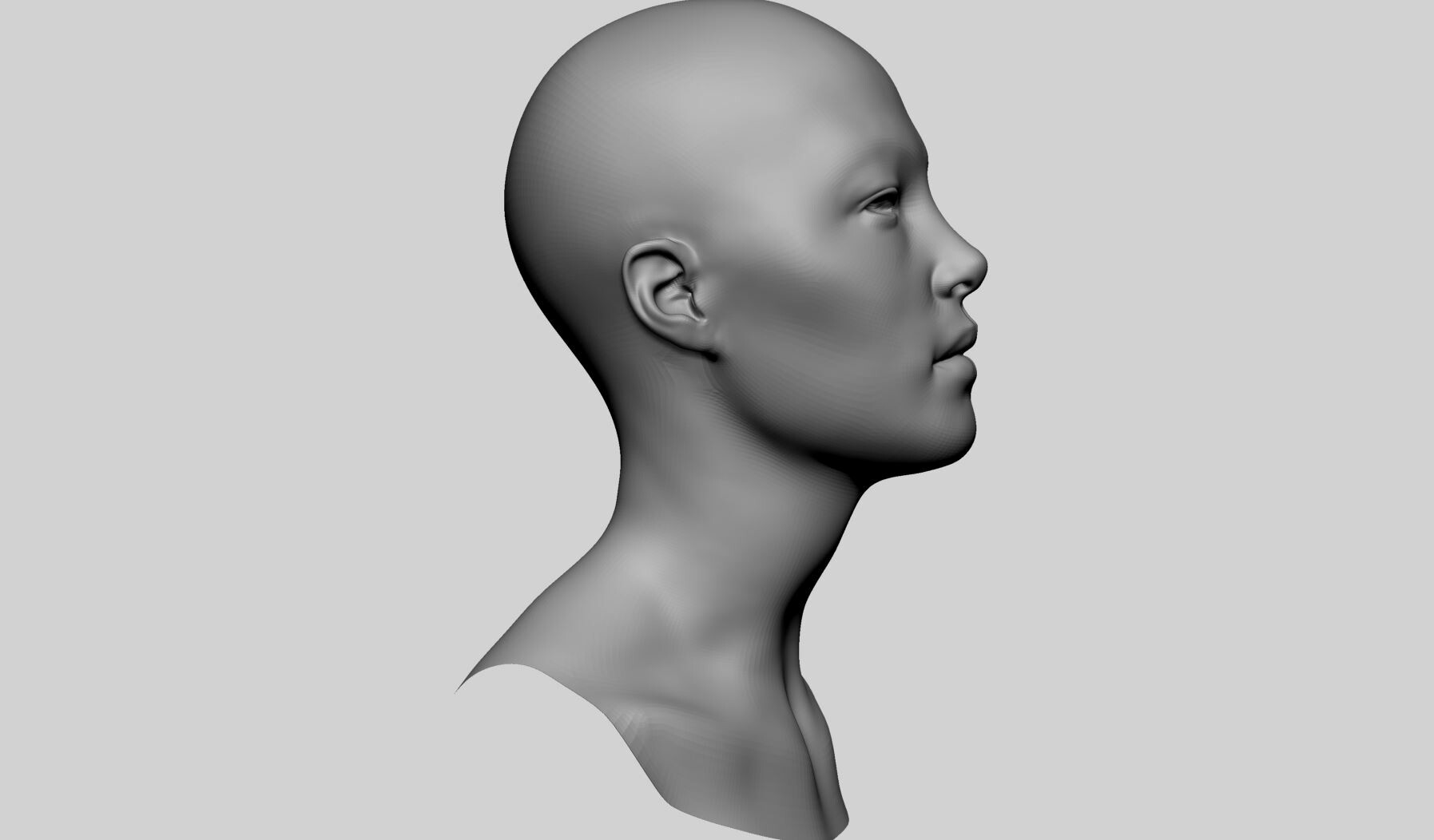 ArtStation - Base Male and Female Head | Resources