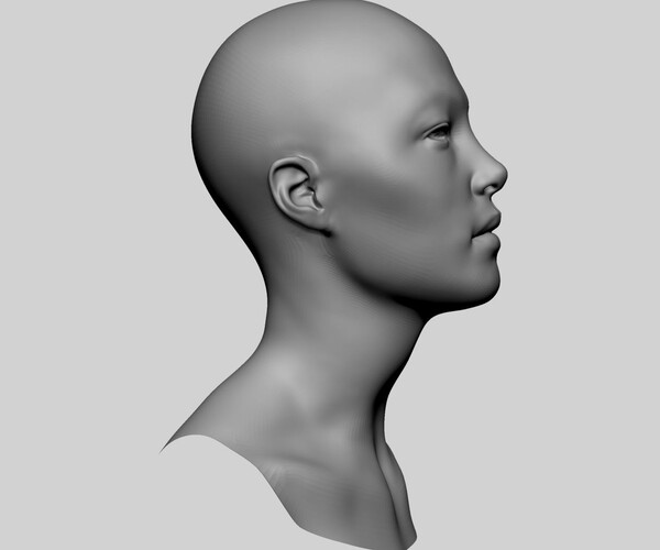 ArtStation - Base Male and Female Head | Resources