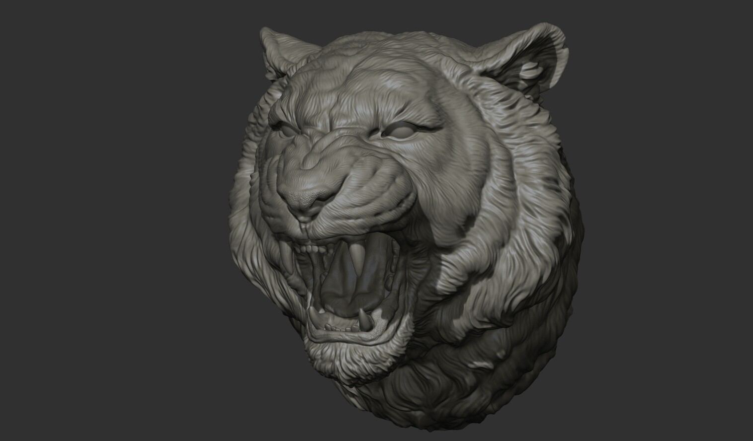 ArtStation - Tiger grin roar | Resources
