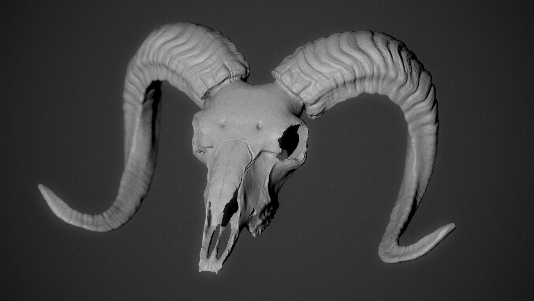 ArtStation - Skull | Resources