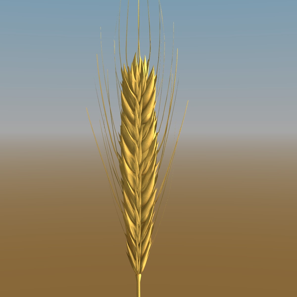 ArtStation - Grains 3D model | Resources