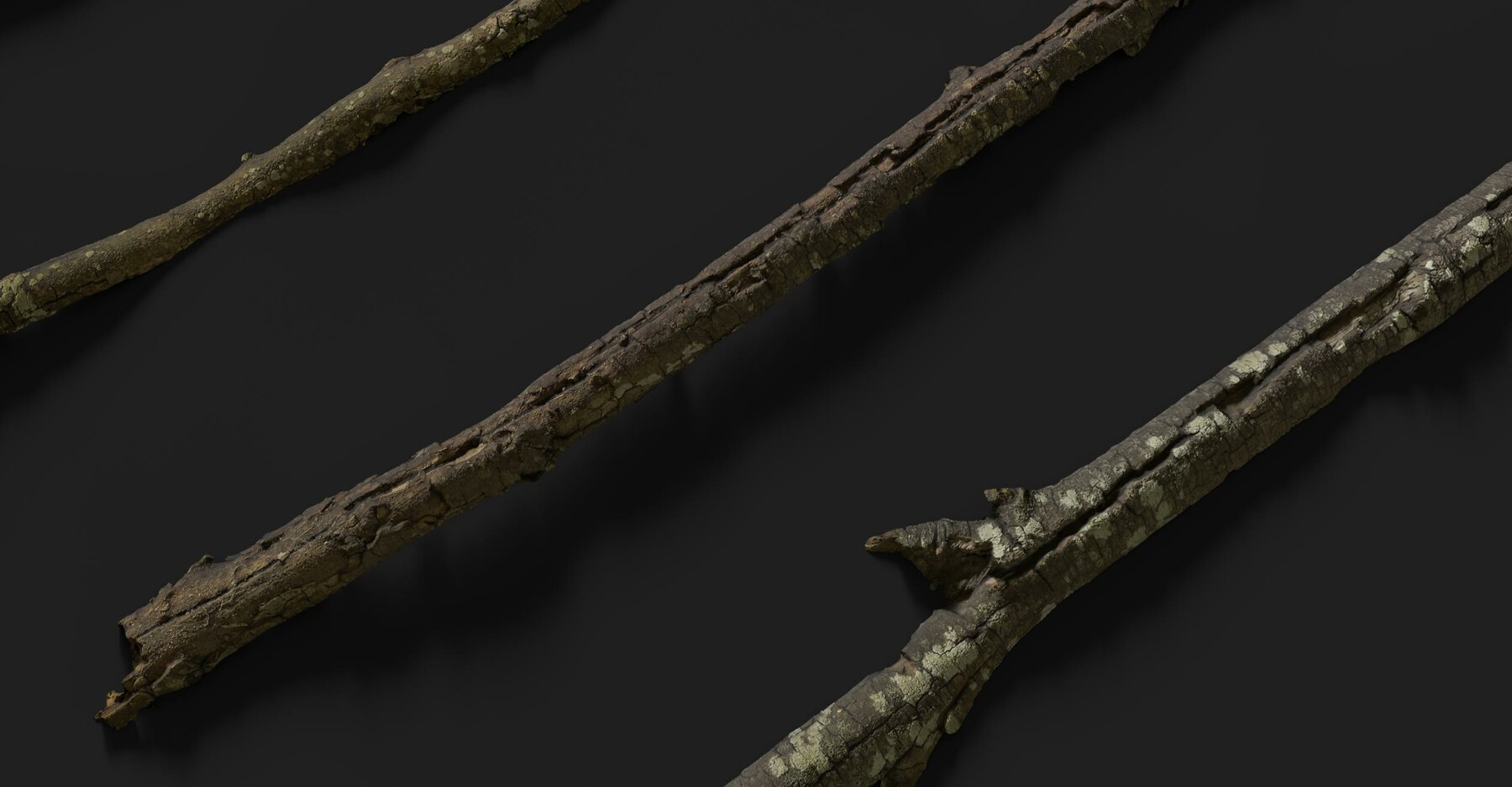 ArtStation - Rotten branch (Eucalyptus) | Game Assets