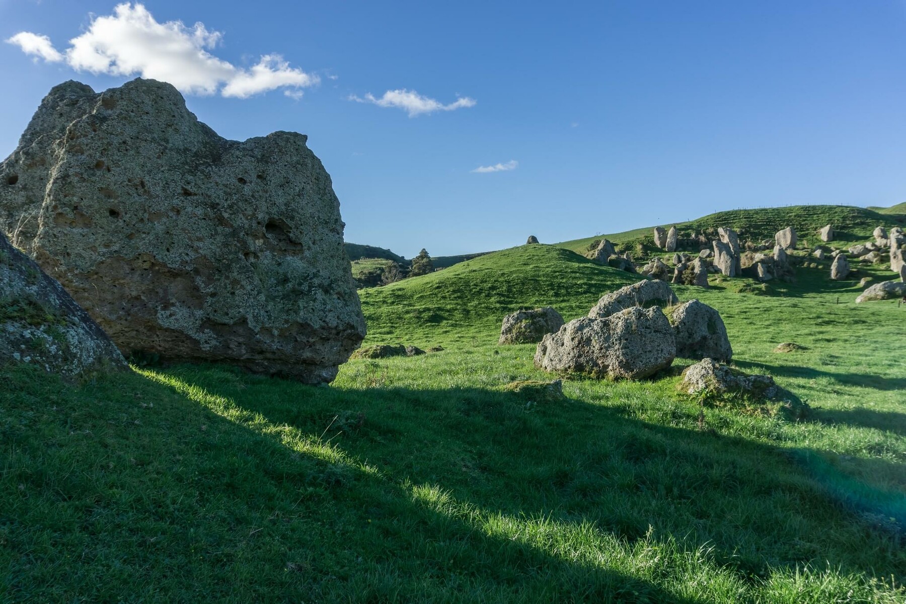 ArtStation - 266 photos of Porous Limestone Cliffs | Resources