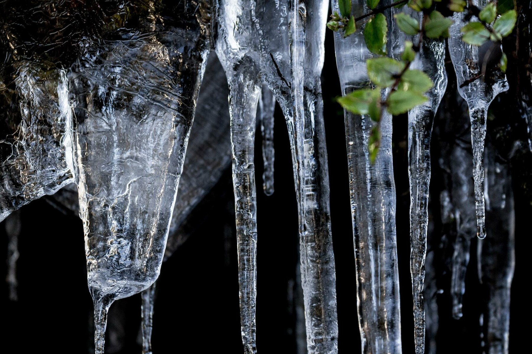 ArtStation - 37 photos of Icicles | Resources