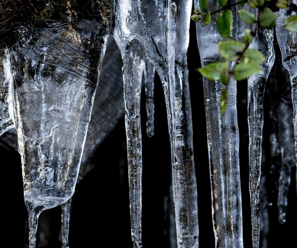 ArtStation - 37 photos of Icicles | Resources