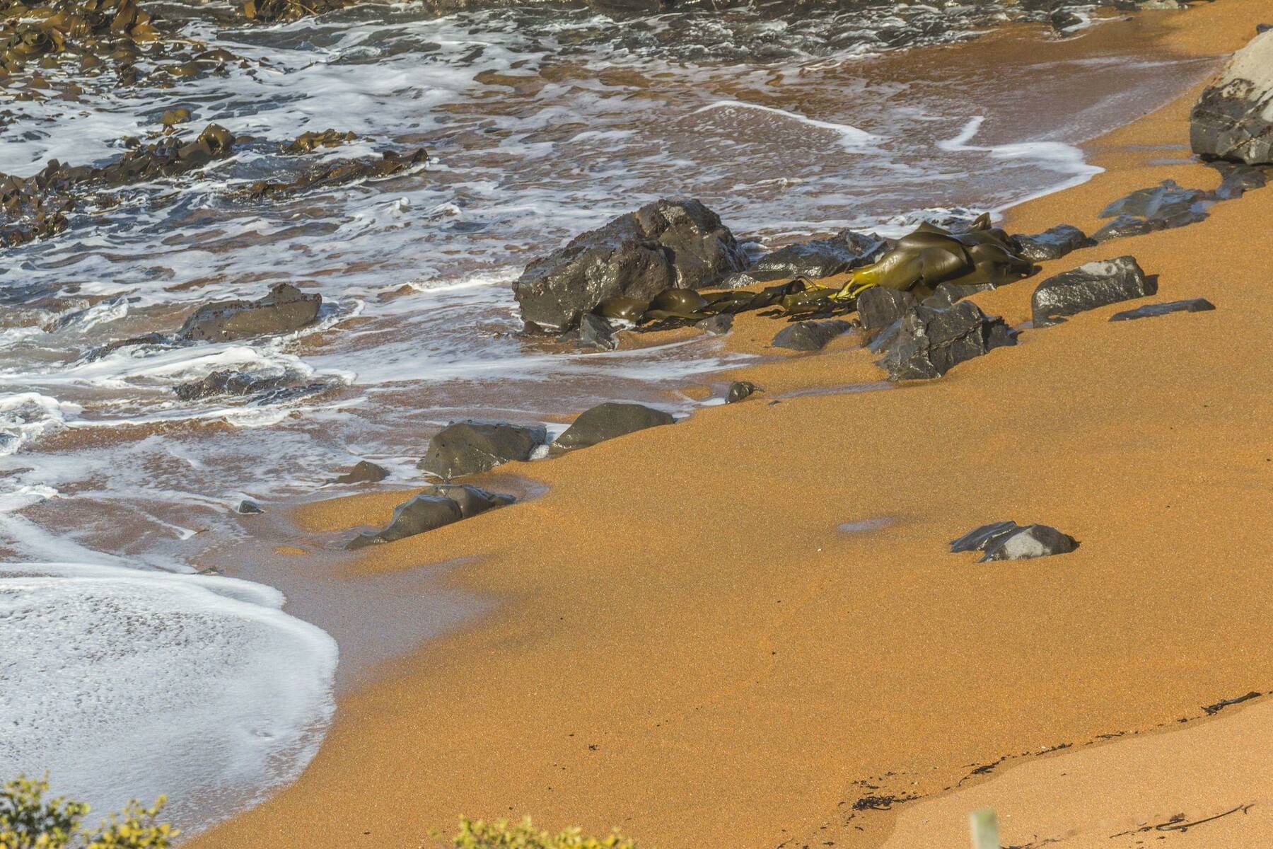 ArtStation - 66 photos of Rust Sand | Resources