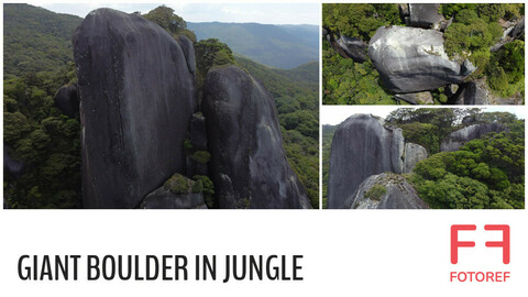 ArtStation - 260 photos of Giant Boulder in Jungle | Resources