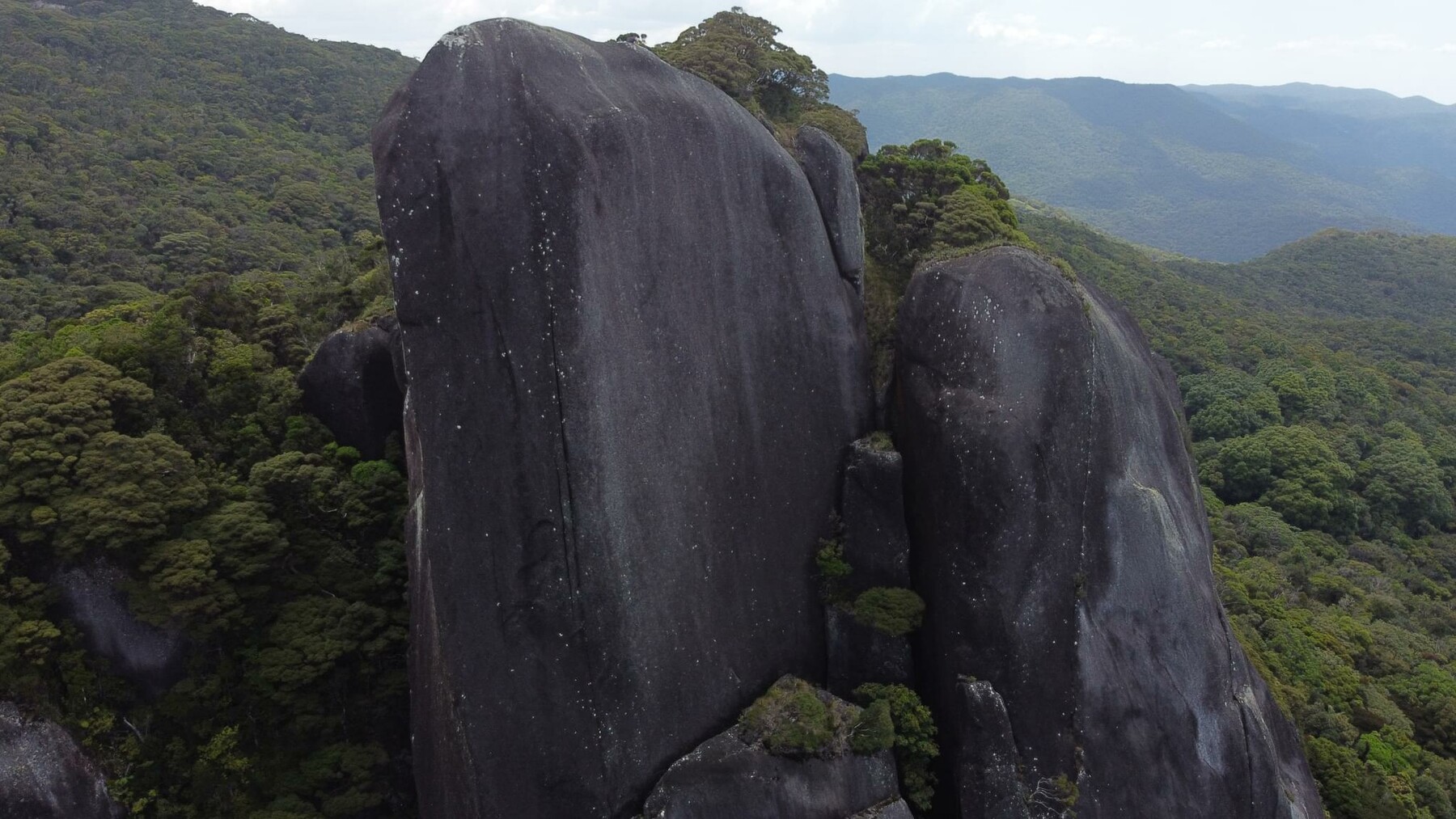ArtStation - 260 photos of Giant Boulder in Jungle | Resources