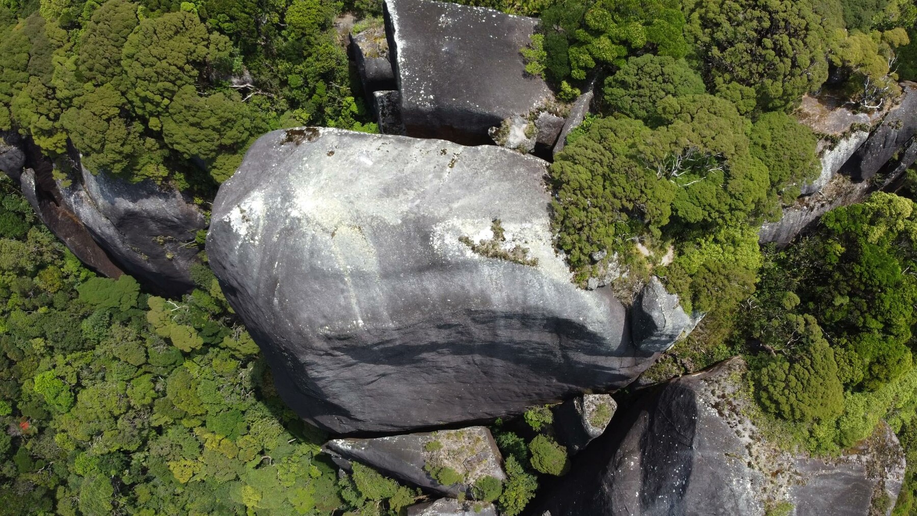 ArtStation - 260 photos of Giant Boulder in Jungle | Resources