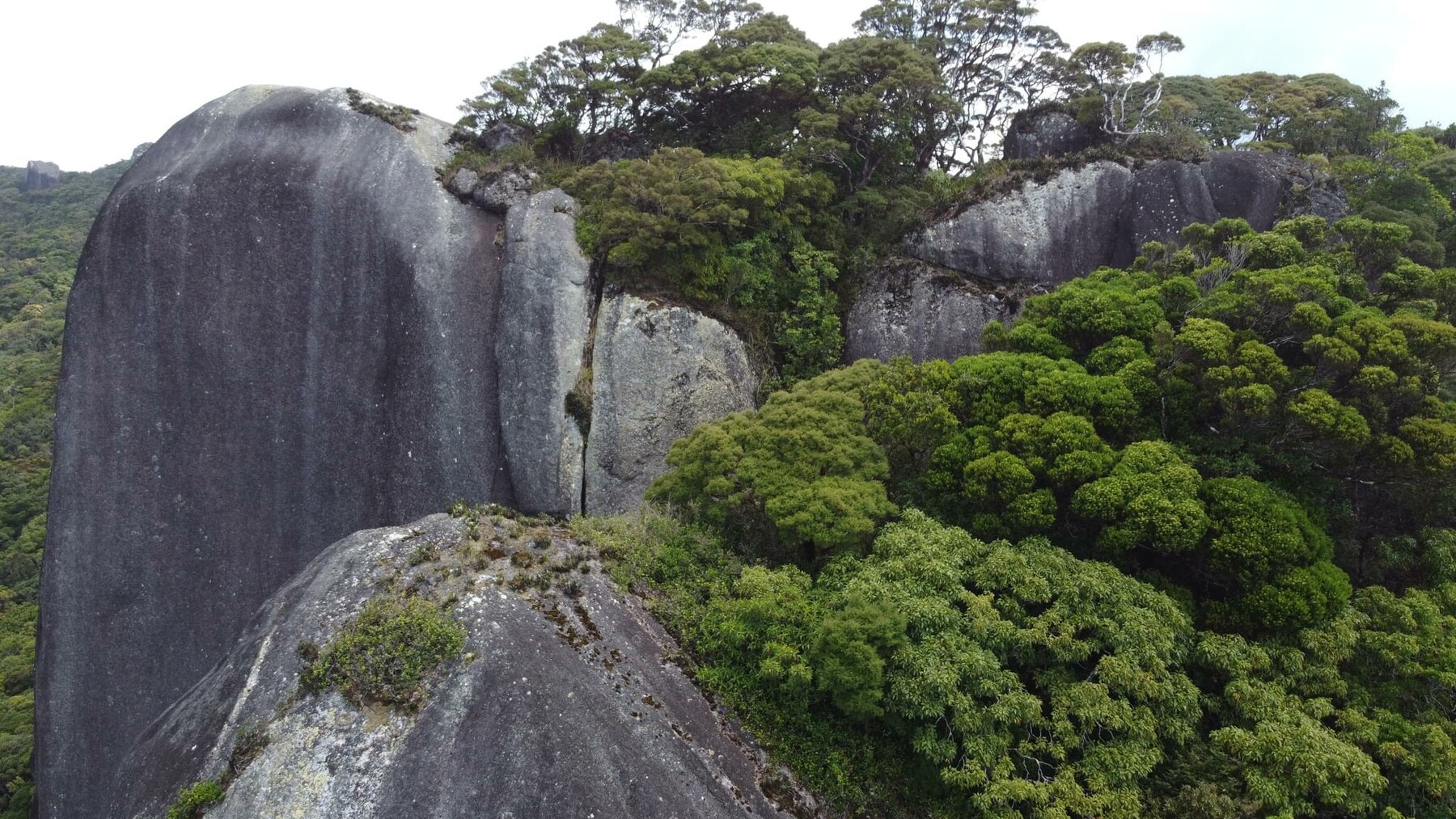 ArtStation - 260 photos of Giant Boulder in Jungle | Resources
