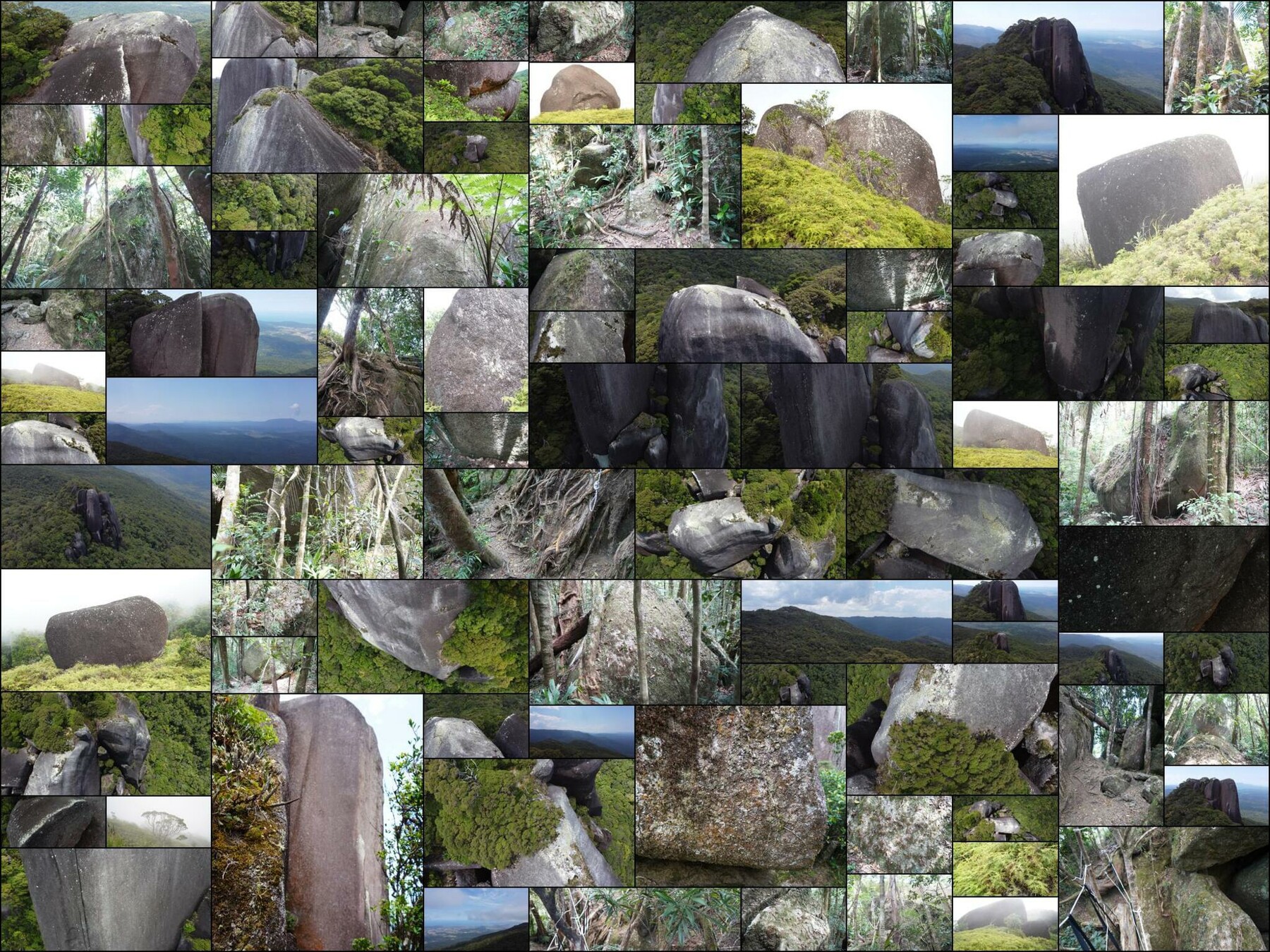 ArtStation - 260 photos of Giant Boulder in Jungle | Resources